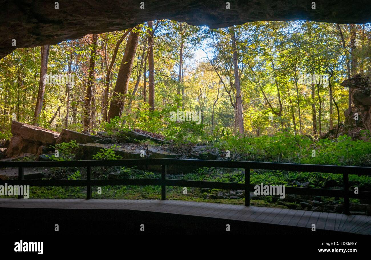 Russell Cave National Monument's boardwalk trail in Fall Stock Photo ...