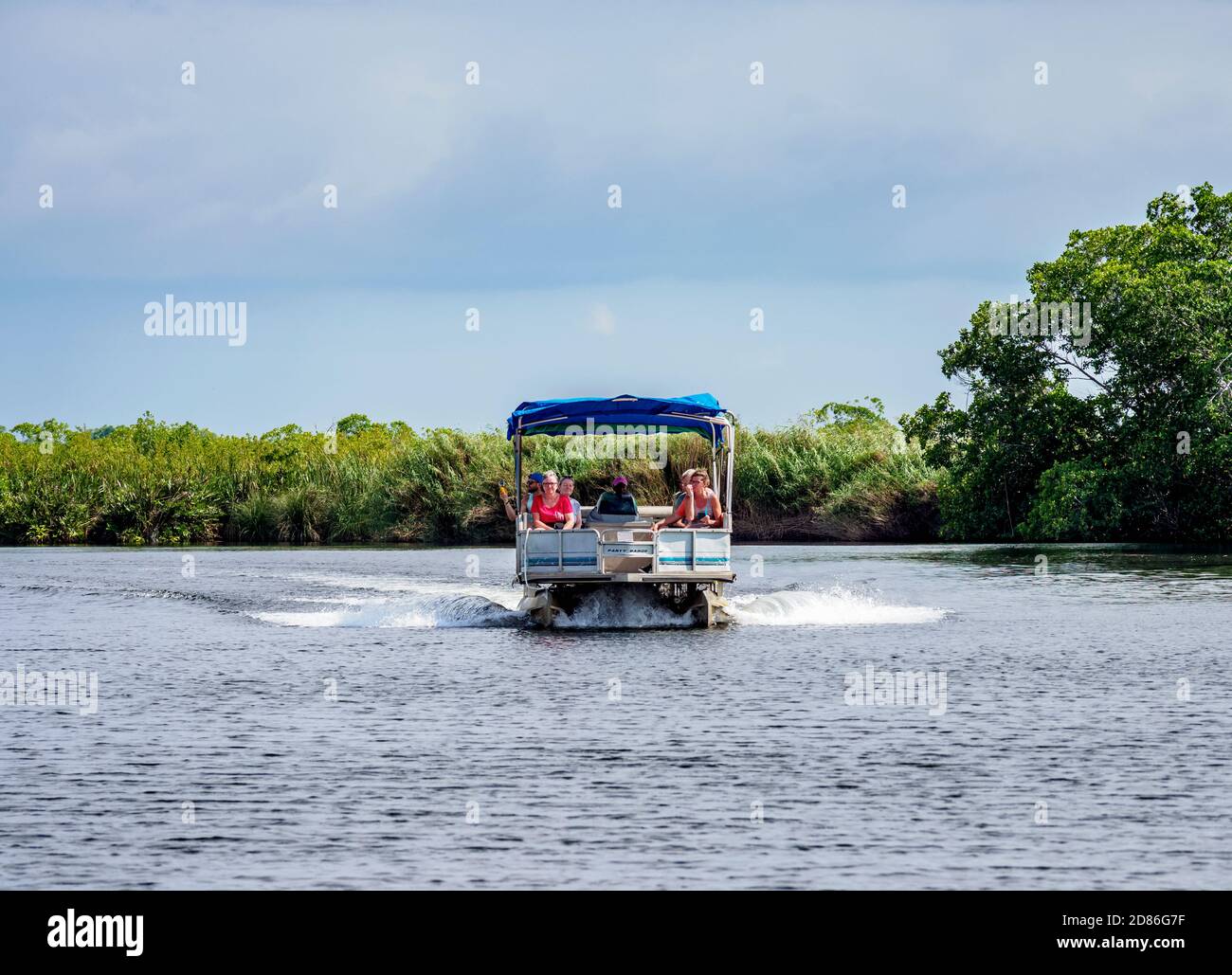 Black River Safari Boat Tour, Saint Elizabeth Parish, Jamaica Stock ...