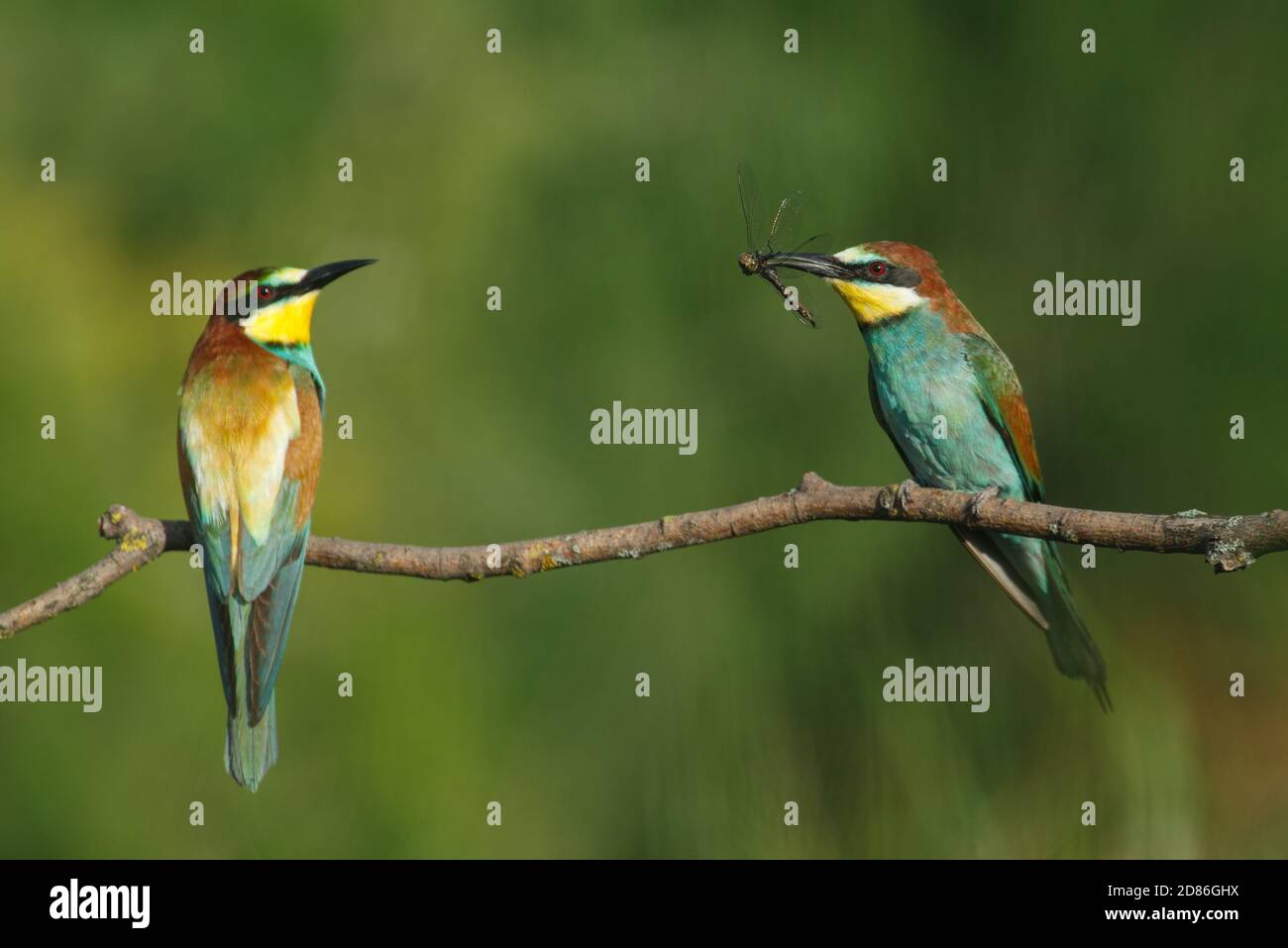 Colorfulbackground hi-res stock photography and images - Alamy
