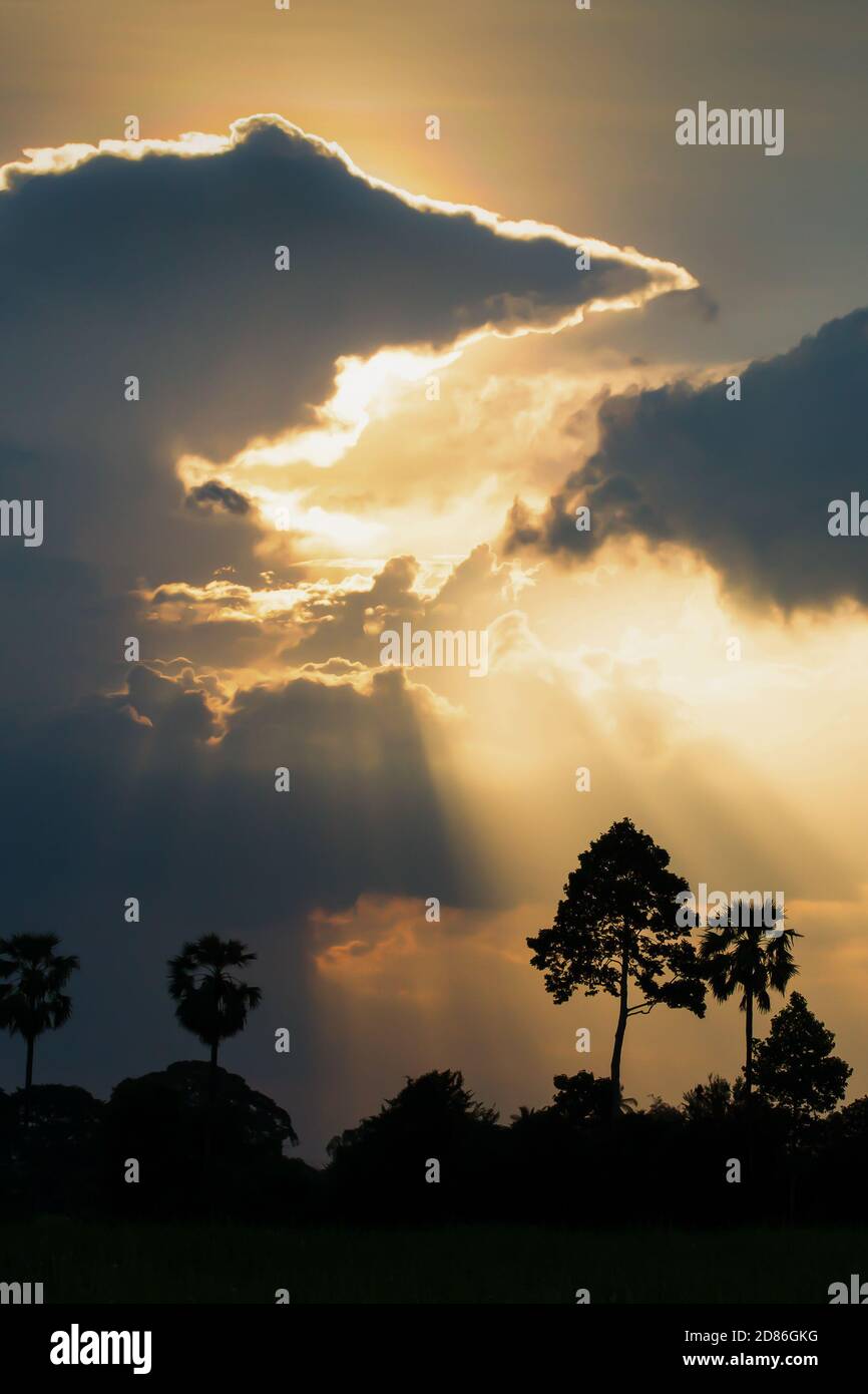 Sunbeam texture hi-res stock photography and images - Alamy