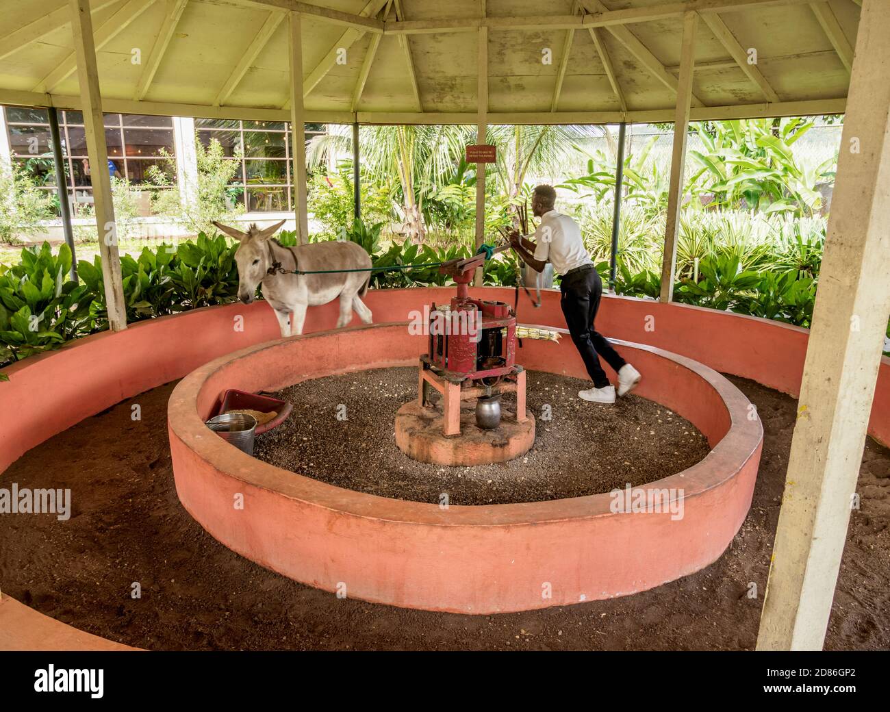 Appleton Estate Rum Factory, Nassau Valley, Saint Elizabeth Parish ...