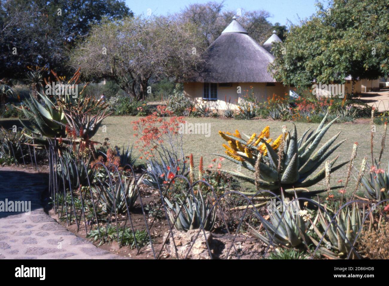 Tourist accommodation in the Kruger National Park arranged as modern ...