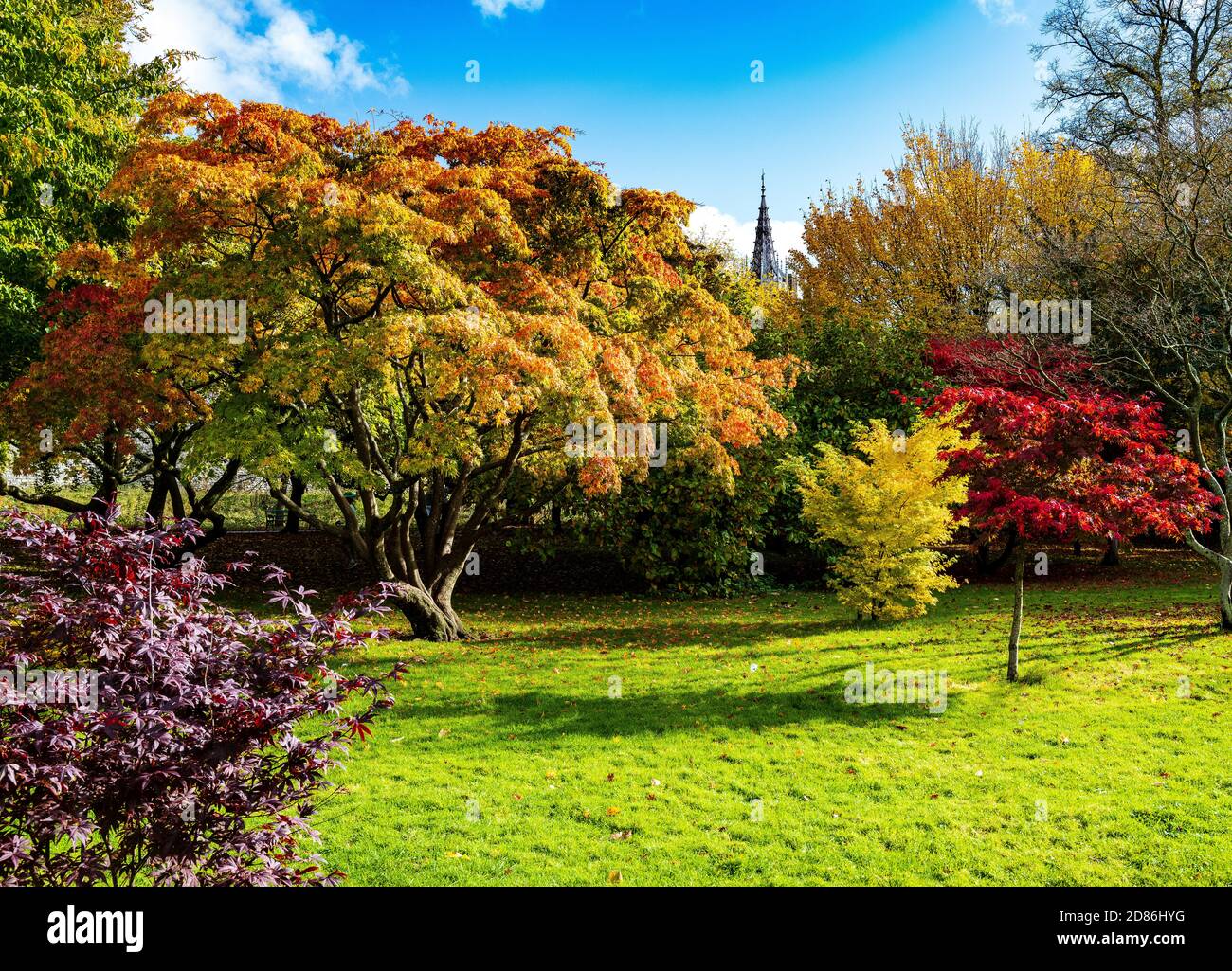 Autumn trees in Bute Park, Cardiff Stock Photo - Alamy