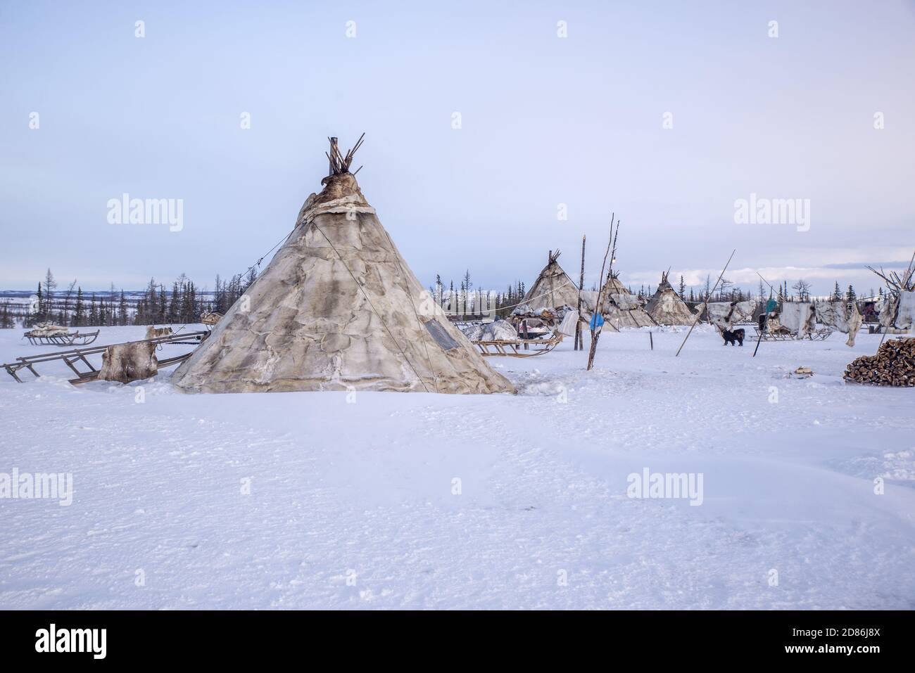 Nenet reindeer tent hi-res stock photography and images - Alamy