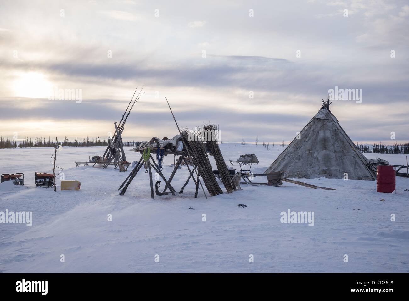Chums (traditional tents) and sleds in a Nenet stoybishe (camp), Yamalo ...