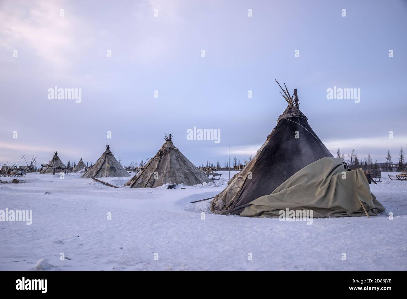 Chums (traditional tents) and sleds in a Nenet stoybishe (camp), Yamalo ...
