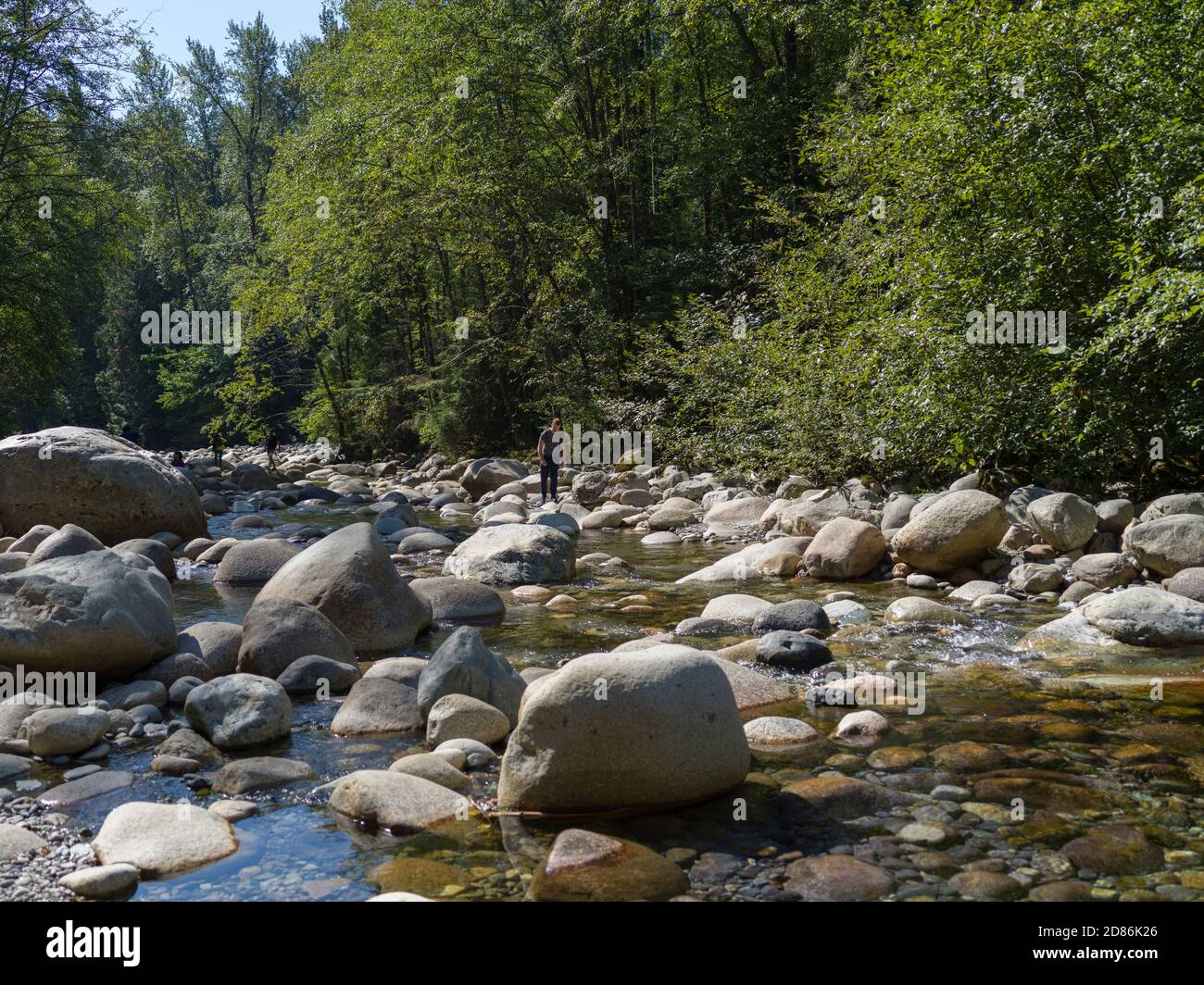 Man balancing on rocks in a forest, Lynn Canyon Park, North Vancouver ...