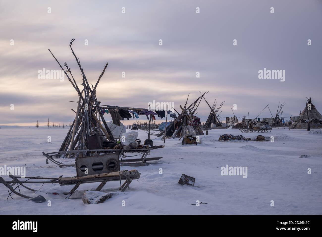 Chums (traditional tents) and sleds in a Nenet stoybishe (camp), Yamalo ...