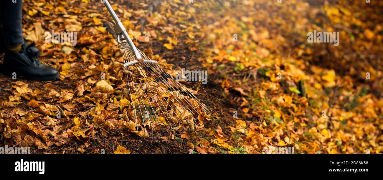 Woman cleaning up leaves hi-res stock photography and images - Alamy