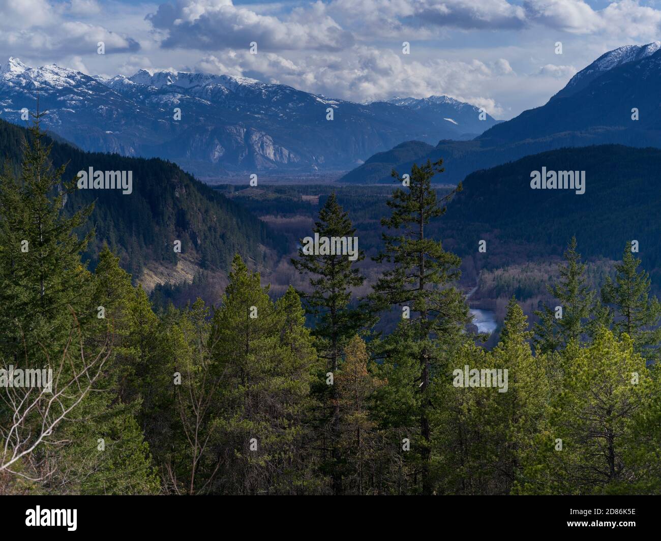 Trees with mountain range in the background, Vancouver, Lower Mainland ...