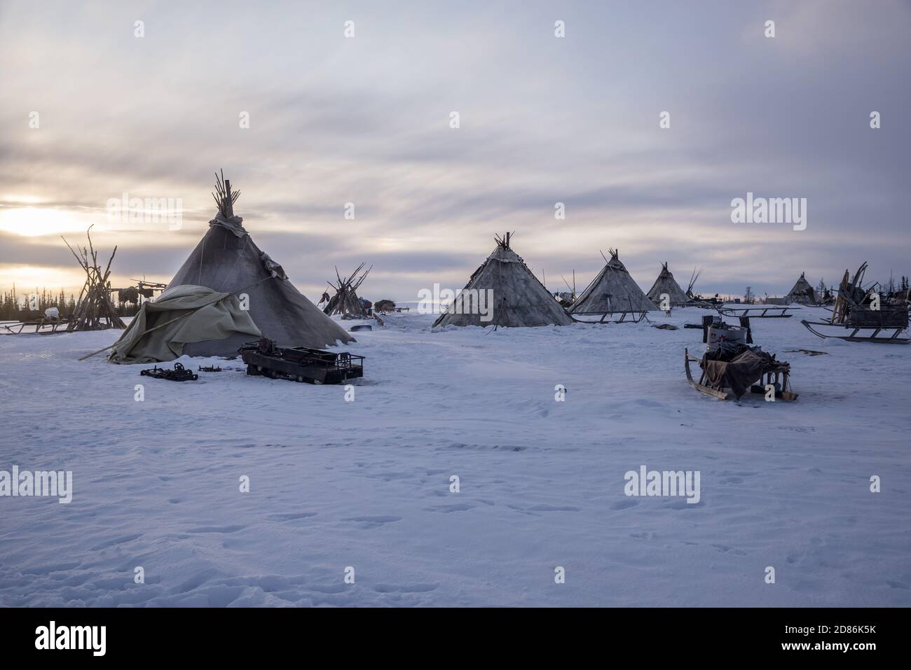 Chums (traditional tents) and sleds in a Nenet stoybishe (camp), Yamalo ...