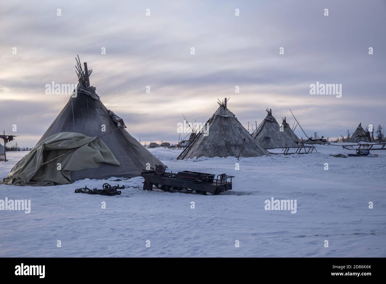 Chums (traditional tents) and sleds in a Nenet stoybishe (camp), Yamalo ...