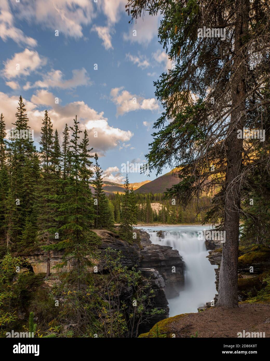 Athabasca Falls behind trees in forest in Jasper National Park, Alberta ...