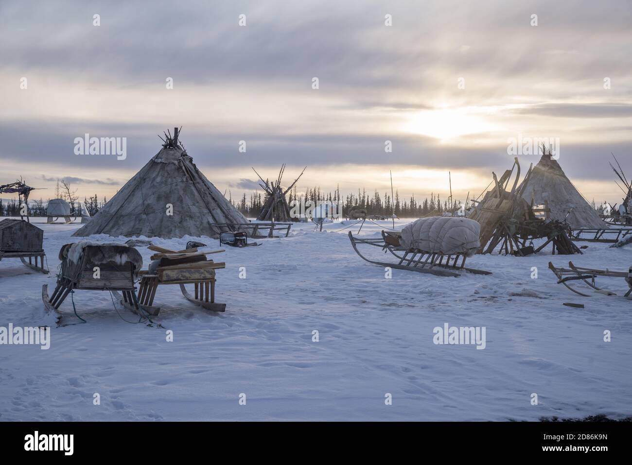 Chums (traditional tents) and sleds in a Nenet stoybishe (camp), Yamalo ...