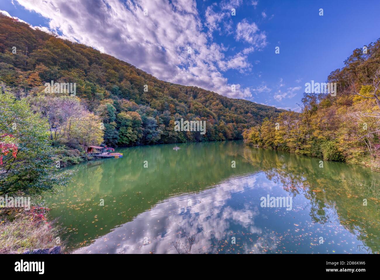 Hamori a hi-res stock photography and images - Alamy