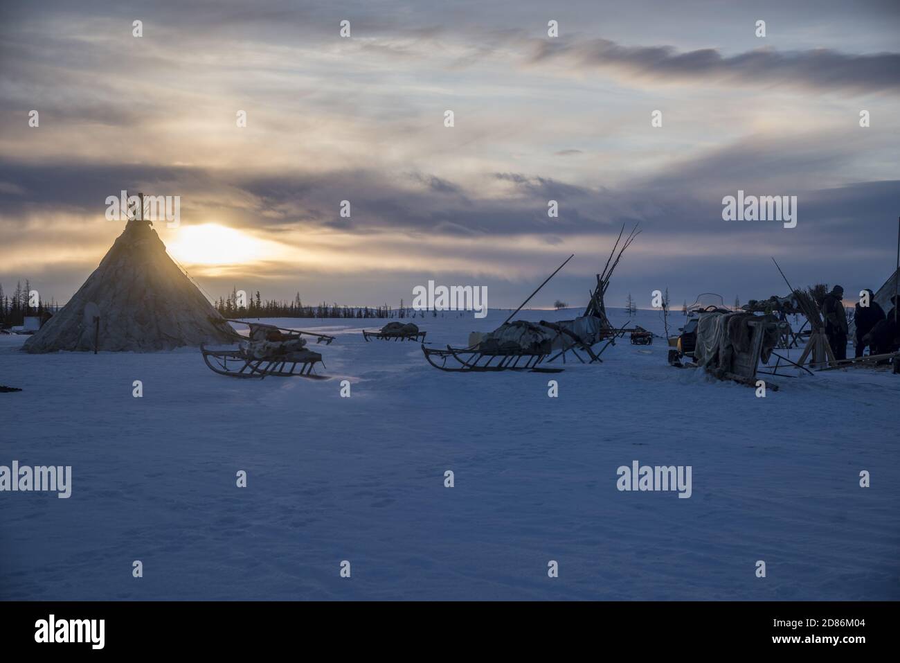 Chums (traditional tents) and sleds in a Nenet stoybishe (camp), Yamalo ...
