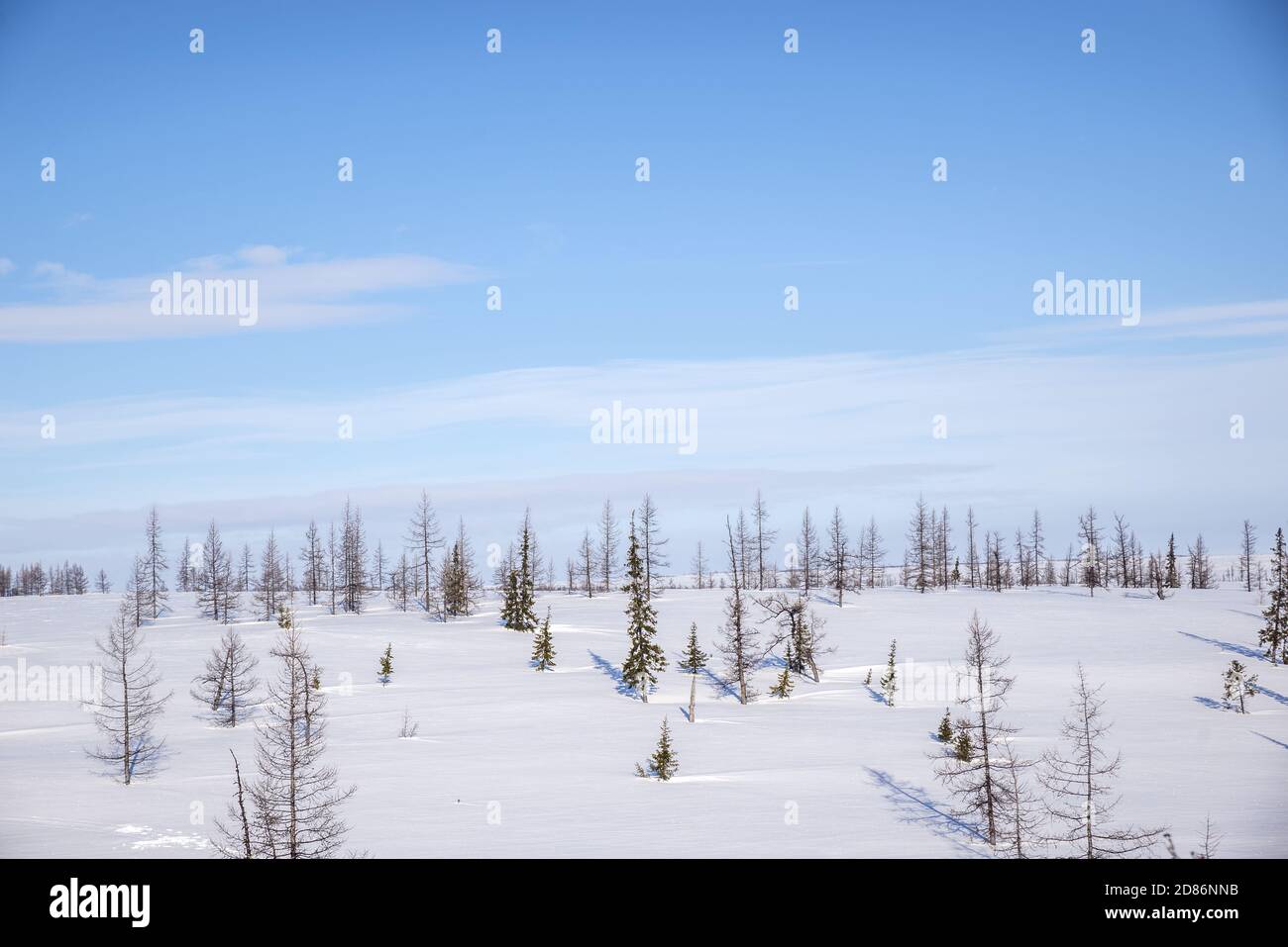 Native Siberia High Resolution Stock Photography and Images - Alamy