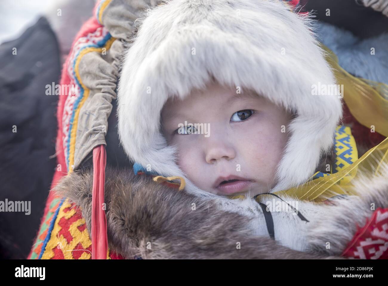 Nenet child hi-res stock photography and images - Alamy