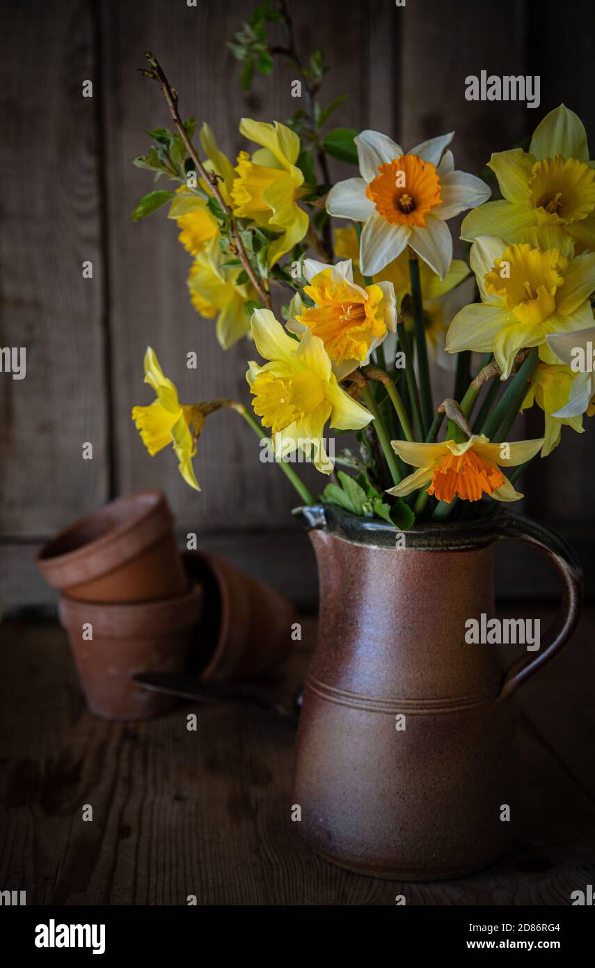 Studio flowers hi-res stock photography and images - Alamy