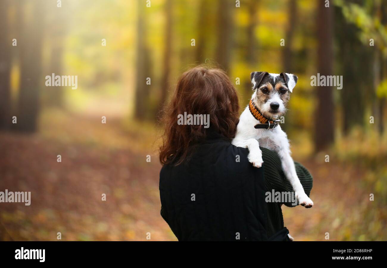 Young woman with dog in the autumn outdoor. High quality photo Stock ...