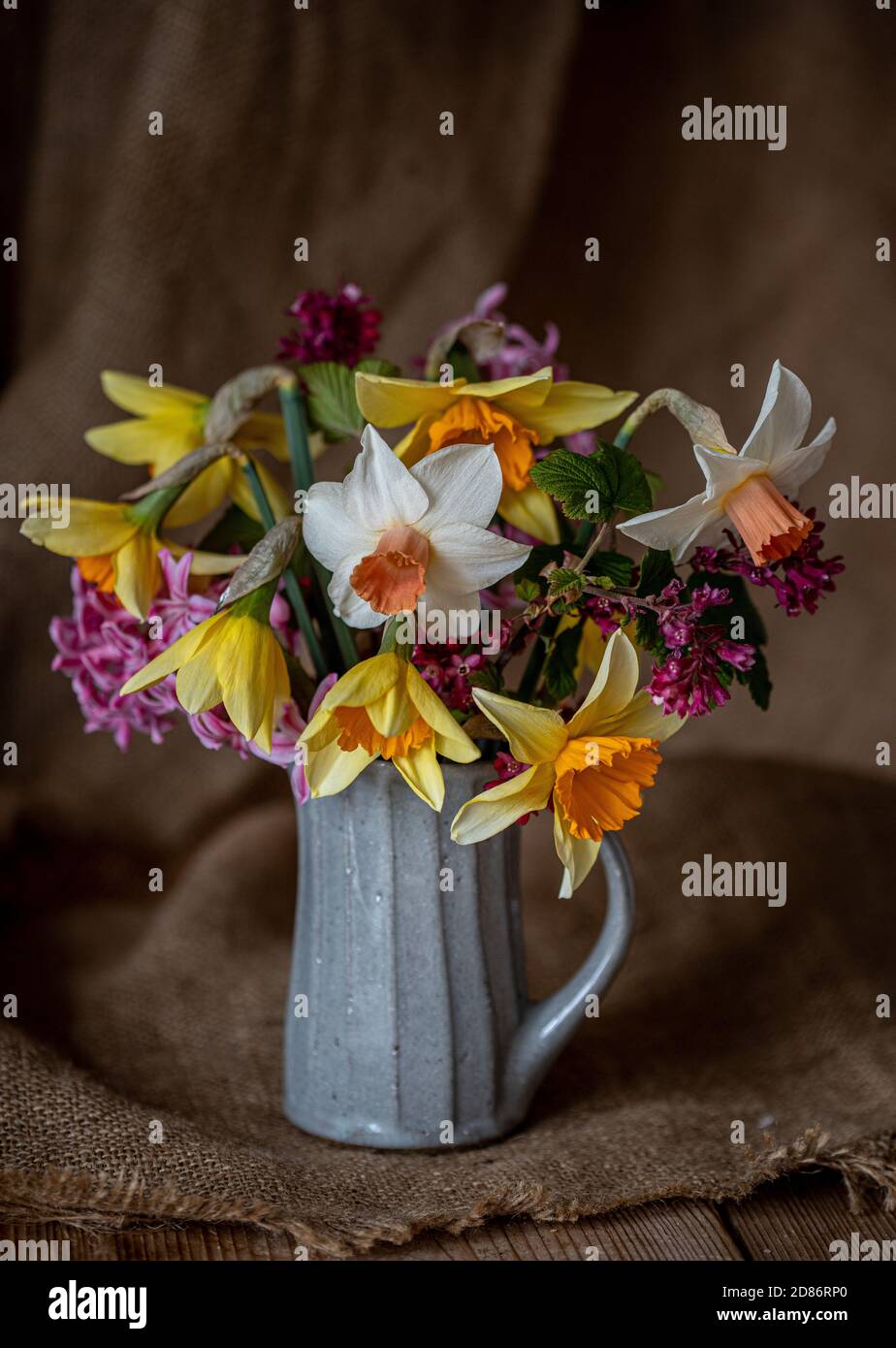 Studio flowers photograph Stock Photo - Alamy