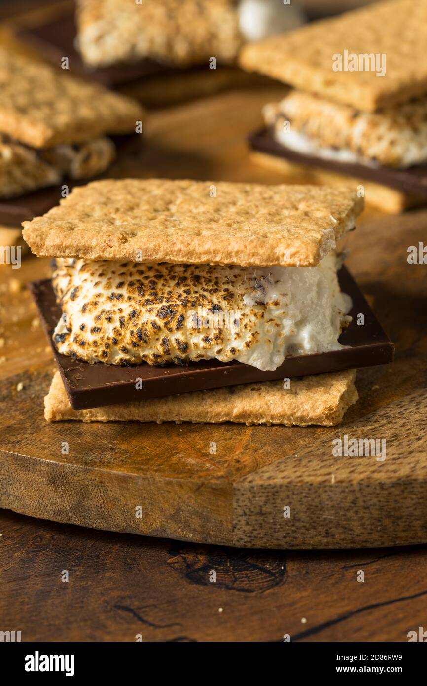 Homemade Gooey Marshmellow Smore with Chocolate and Cookie Stock Photo ...