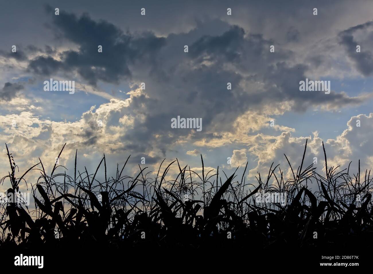 Undulatus asperitas clouds hi-res stock photography and images - Alamy