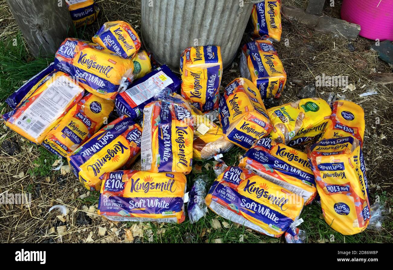 lots of discarded loaves of sliced bread next to rubbish bins. England ...