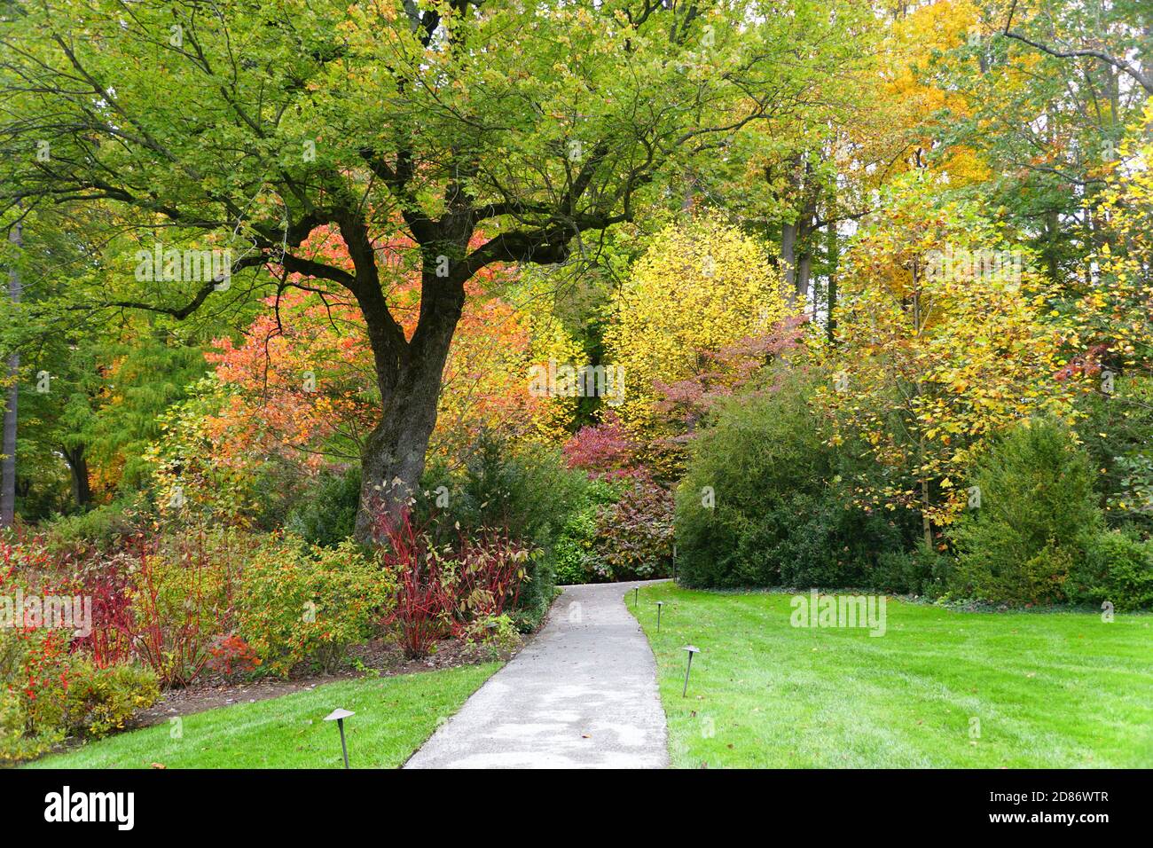 A pathway of a garden surrounded by changing colors of fall foliage ...