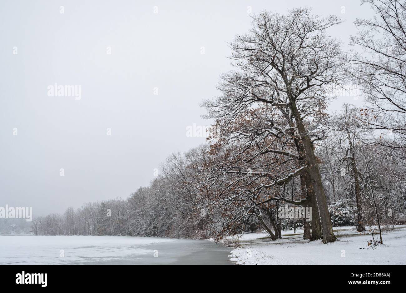 Long Point State Park Stock Photo - Alamy