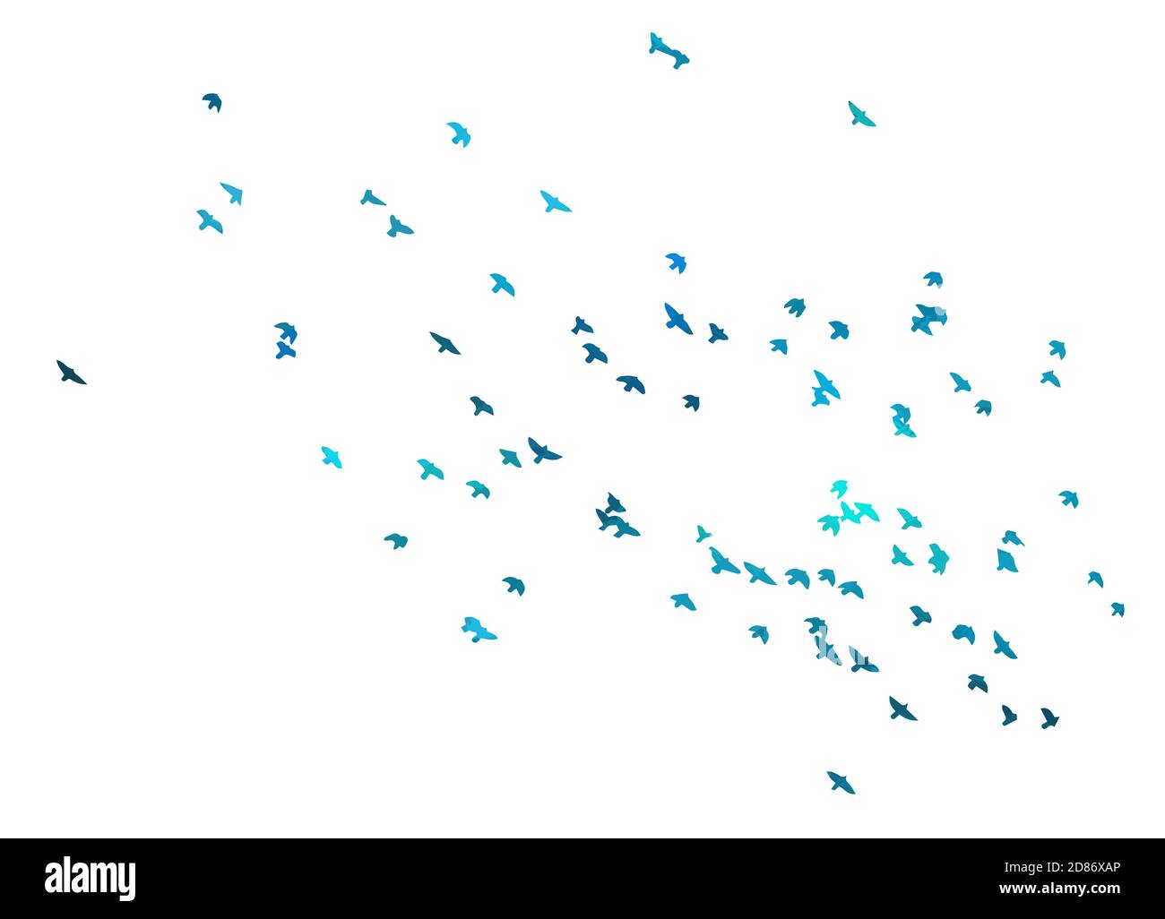 Mixed color pigeon hi-res stock photography and images - Alamy