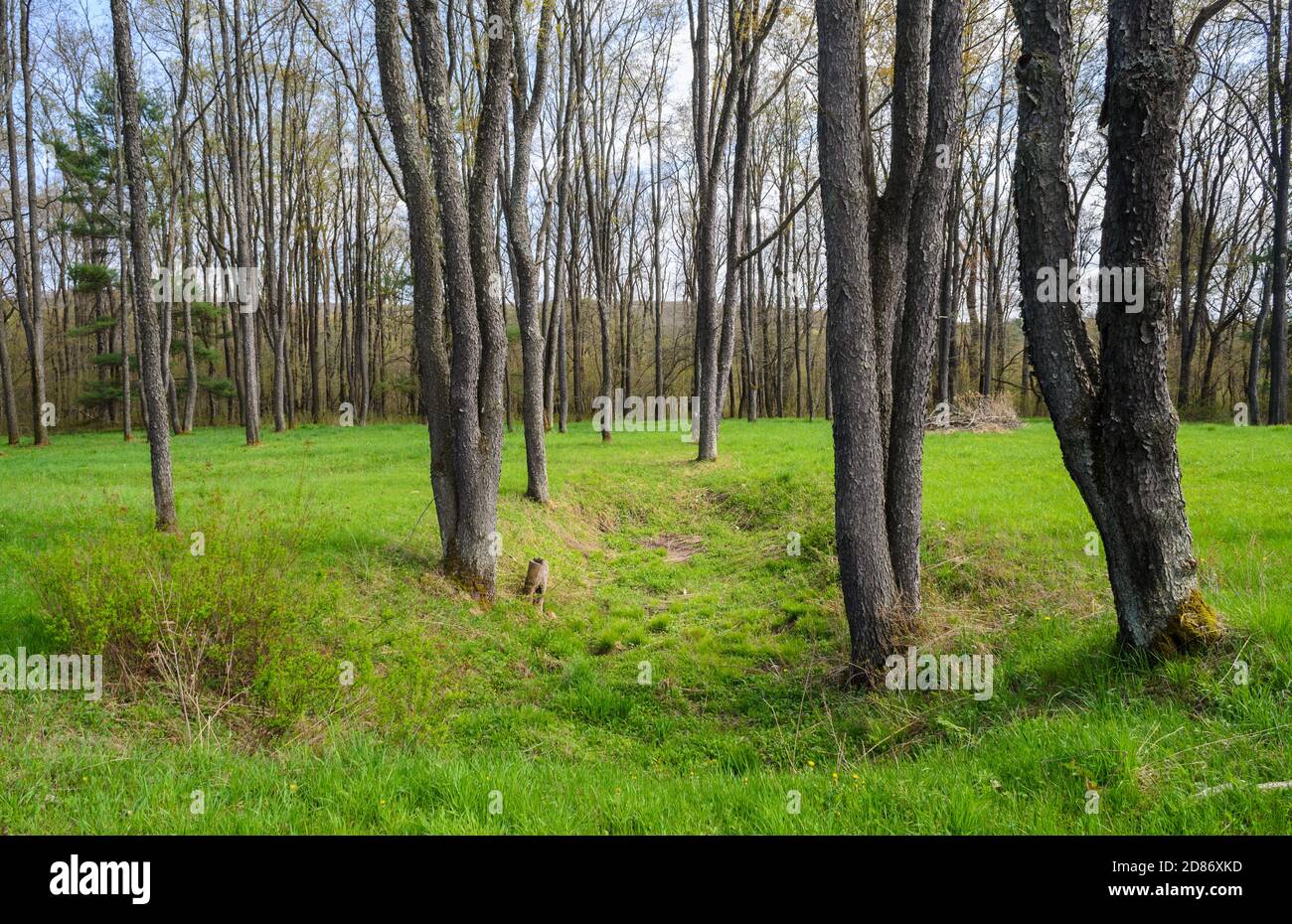 Pithole hi-res stock photography and images - Alamy