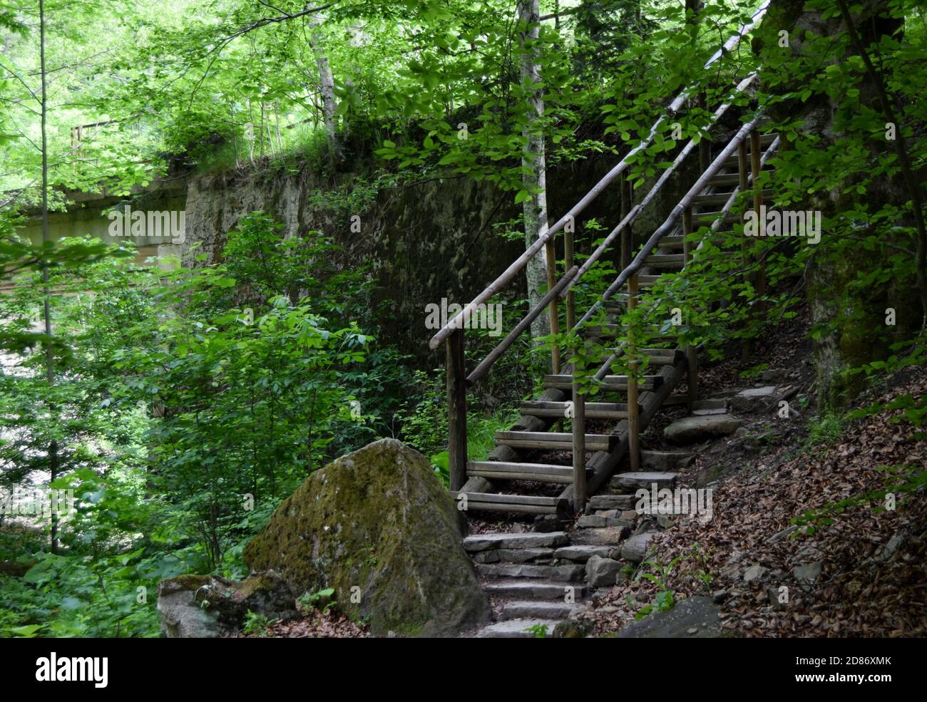 Footpath with old wooden ladder on a path in a mountain forest with ...