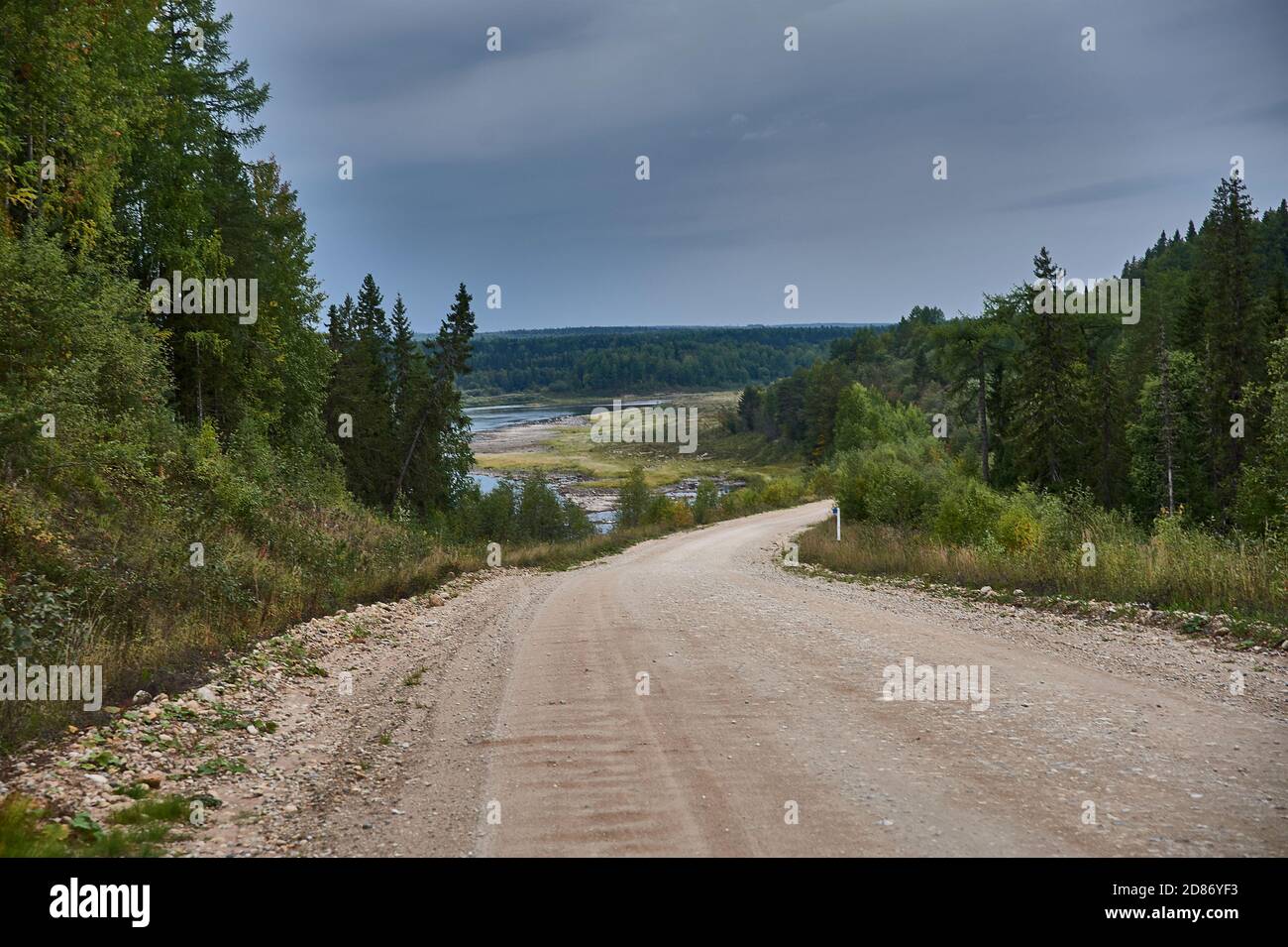 Forest dirt road in the wilderness along the river Stock Photo - Alamy