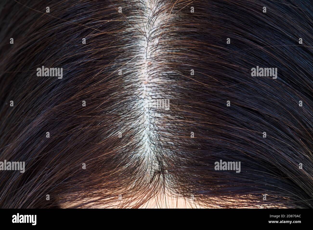 Womens head with gray hair, close-up view of regrown roots, top view ...