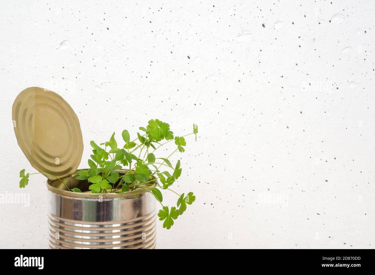 Tin can of sprouts hi-res stock photography and images - Alamy