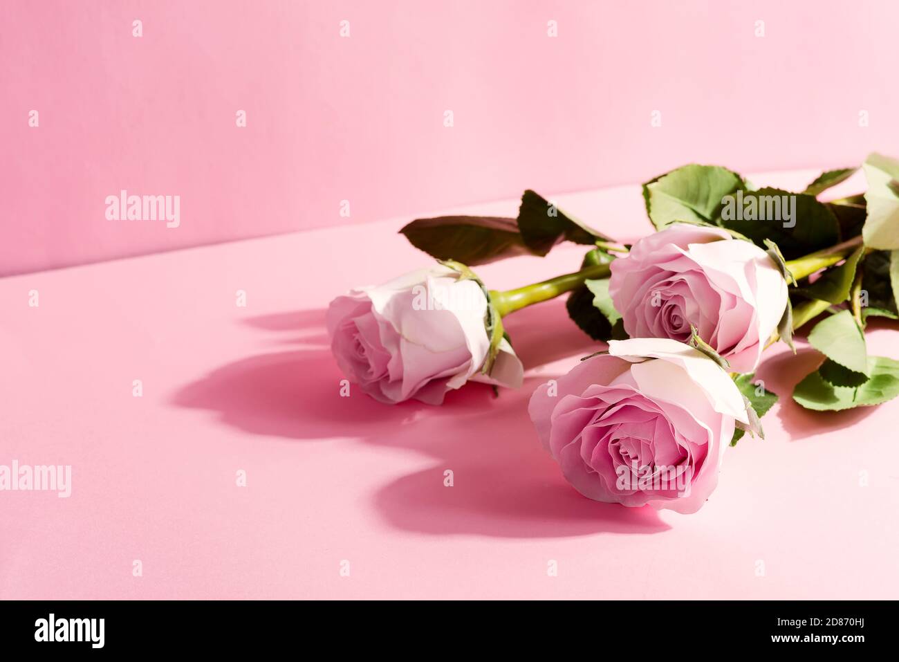 Congratulation composition from a bouquet of beautiful natural roses ...