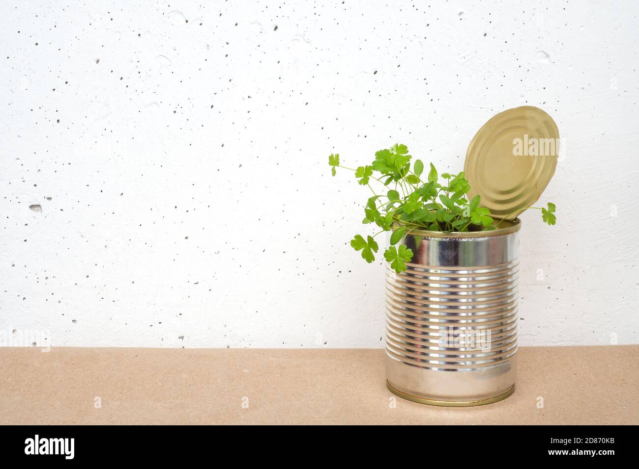 Parsley sprouts in tin can on craft brown paper on white concrete wall ...