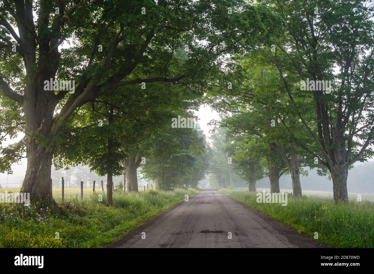Spring grove pennsylvania hi-res stock photography and images - Alamy