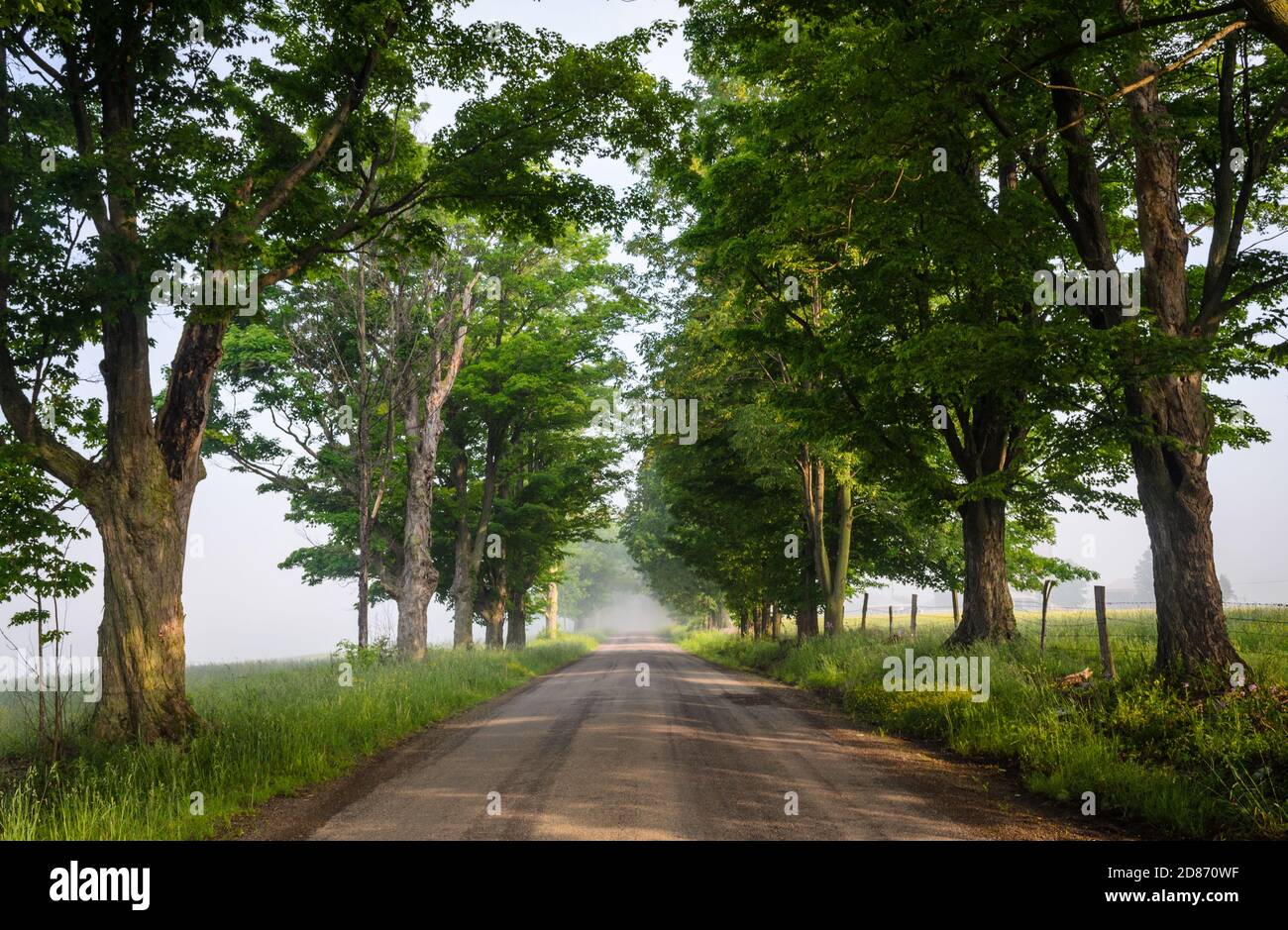 Spring grove pennsylvania hi-res stock photography and images - Alamy