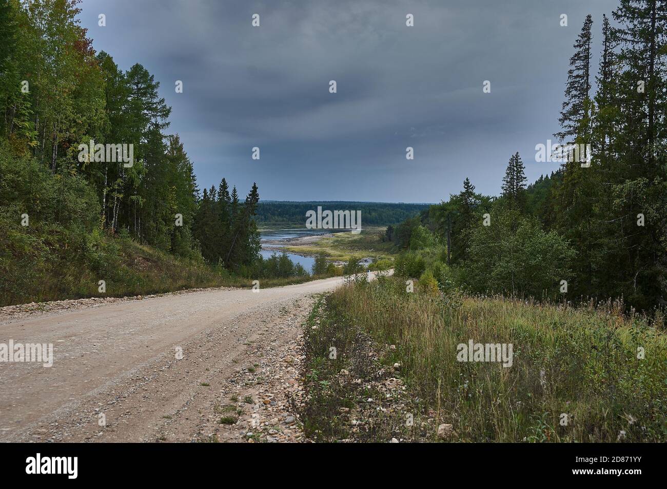 Rural gravel road in the forest Stock Photo - Alamy