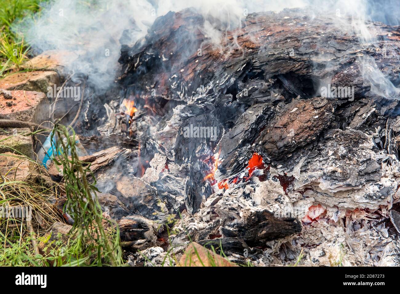 Burning tree bark. Outdoor fireplace. Disposal of bark beetles. Work on ...