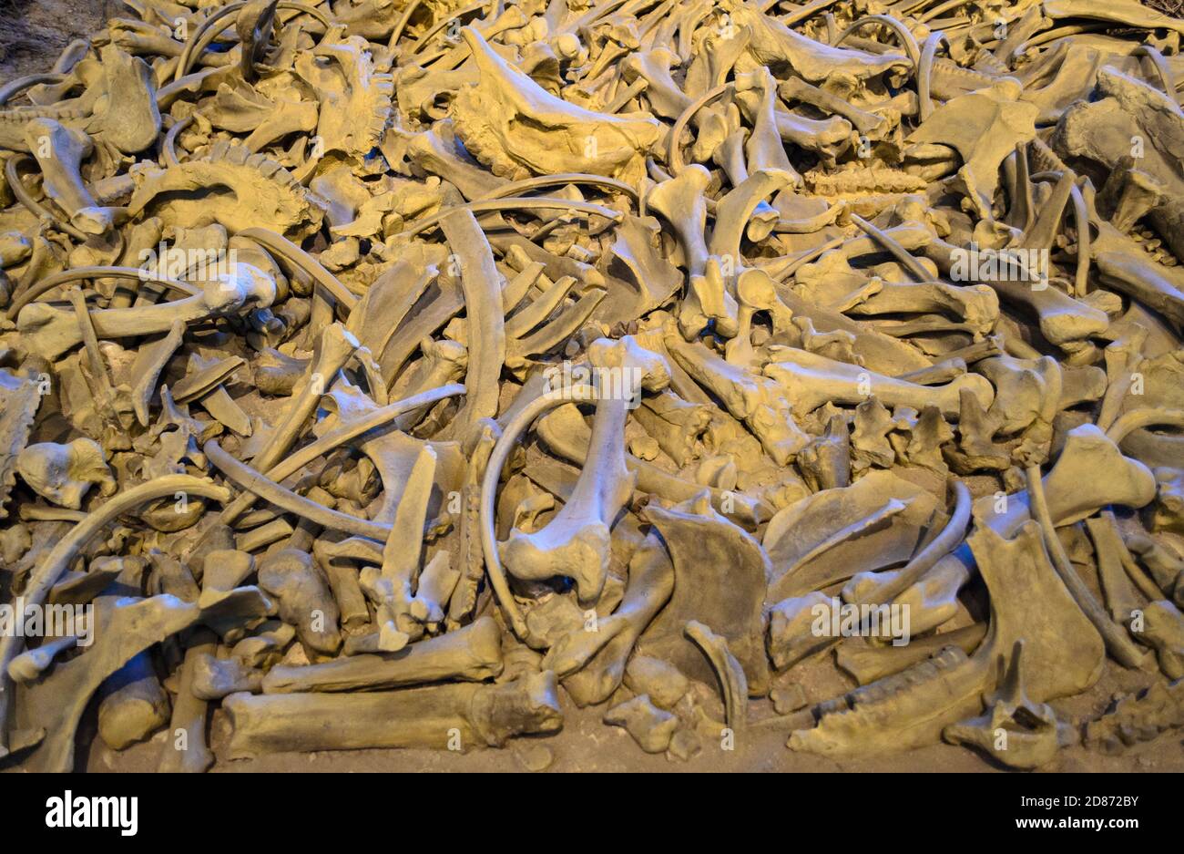 Agate Fossil Beds National Monument Stock Photo - Alamy