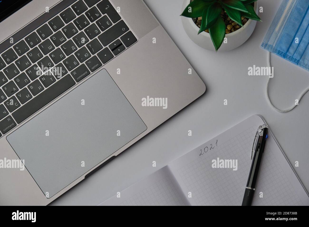 Home office business concept. Laptop on a white desk with plant mask ...