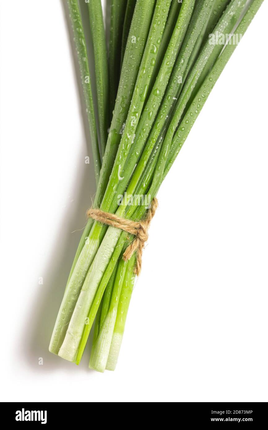 Chives bunch close up isolated on white background, close up Stock ...