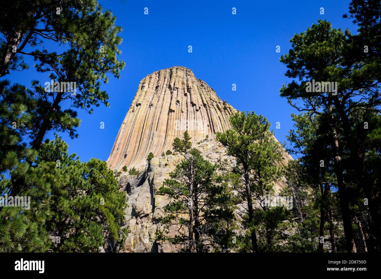 Gypsum Springs Formation High Resolution Stock Photography and Images ...
