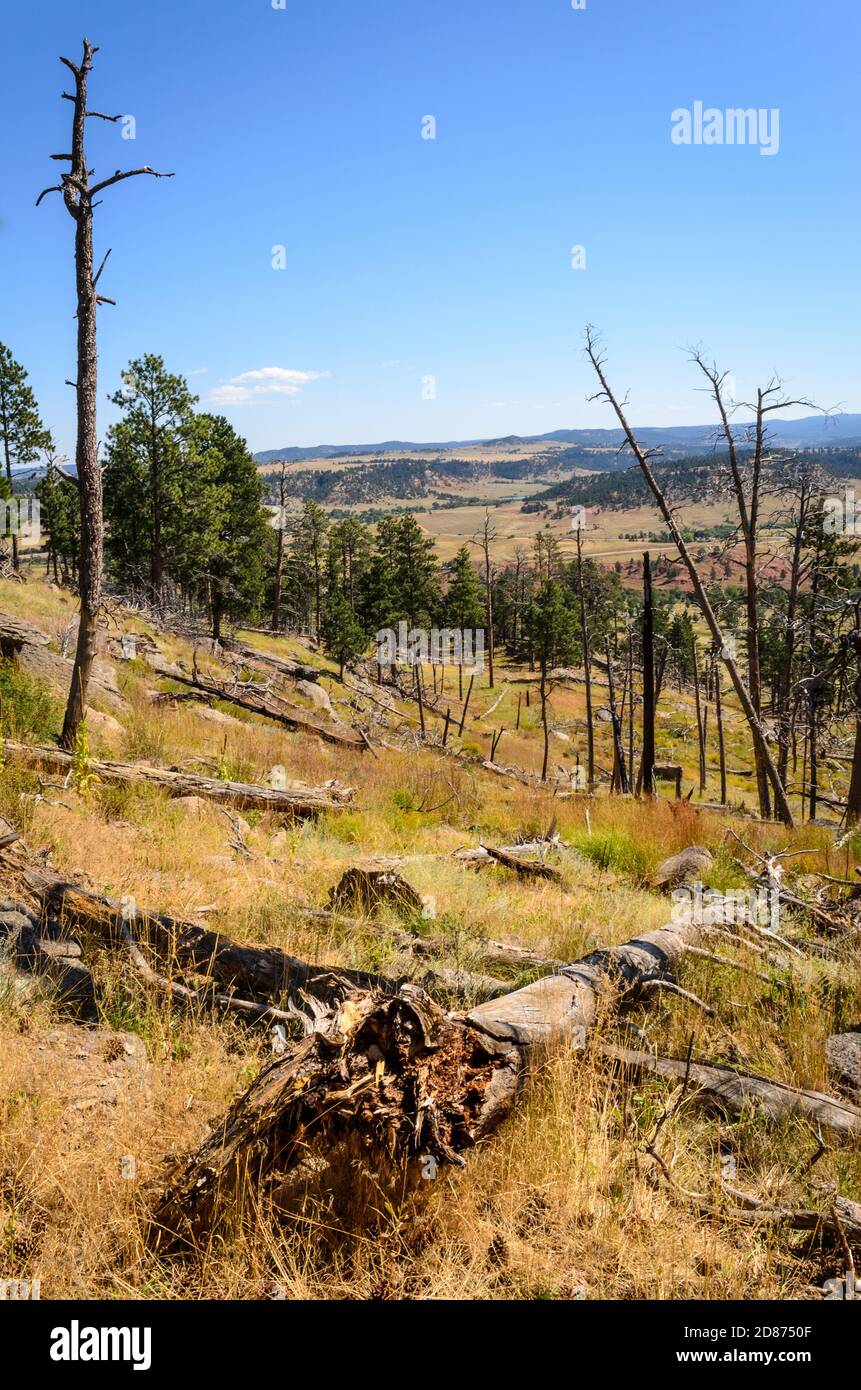 Gypsum Springs Formation High Resolution Stock Photography and Images ...