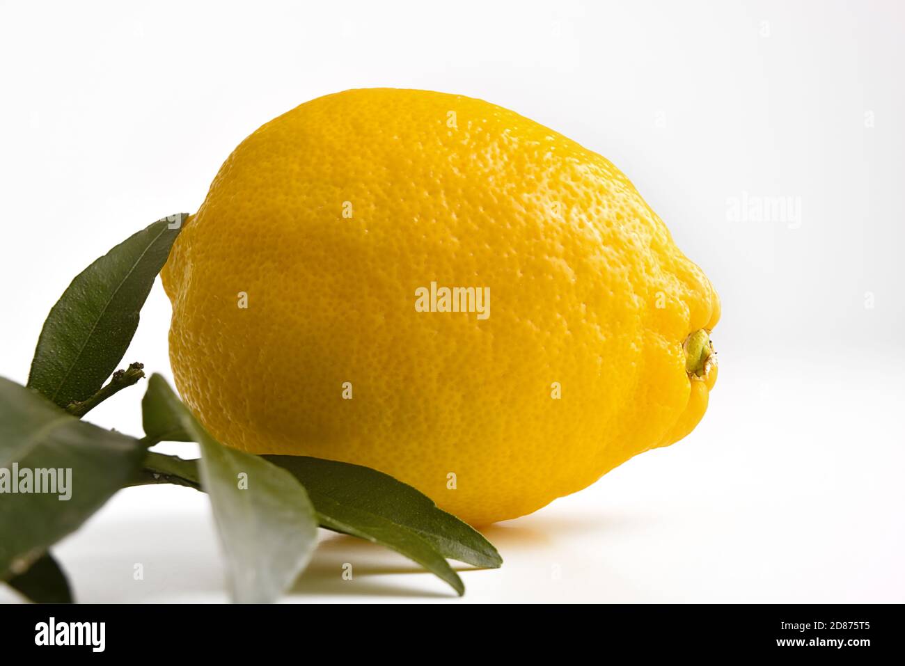 Lemon piece on white base and white isolated background. Horizontal ...
