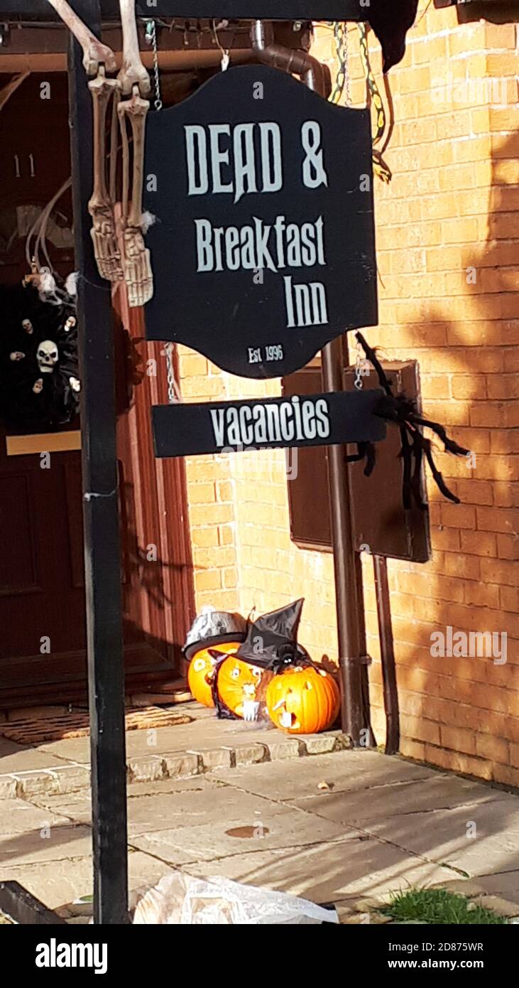 Halloween decorations skeleton hands hi-res stock photography and ...