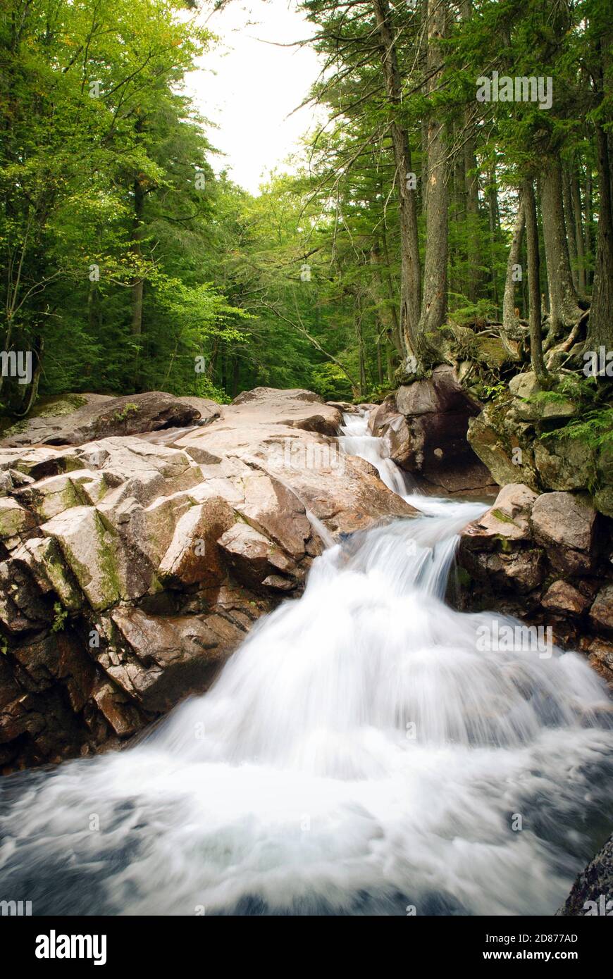 Water cascading over rocks in a mountain stream in New Hampshire, USA ...